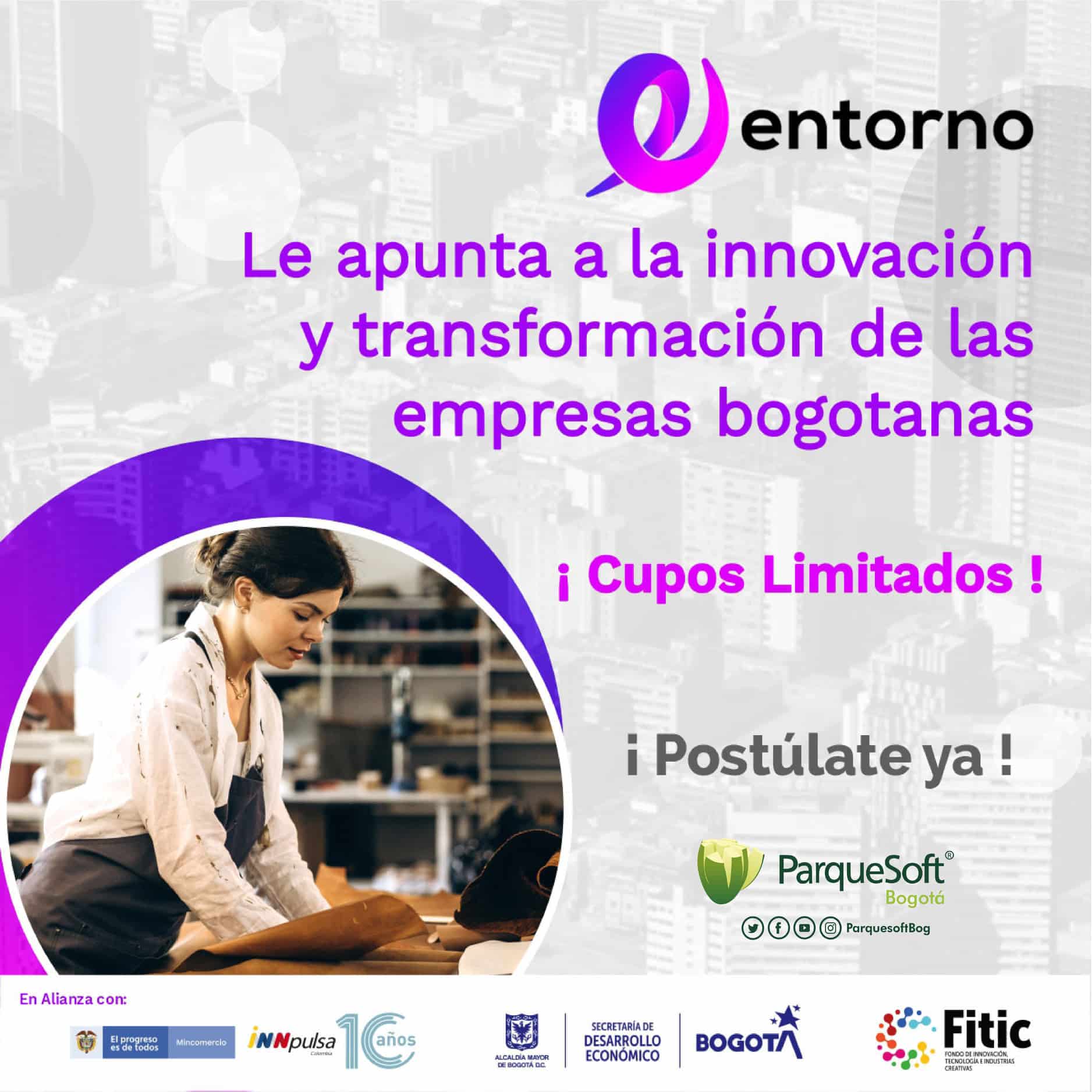 Proyectos - Parquesoft Bogotá